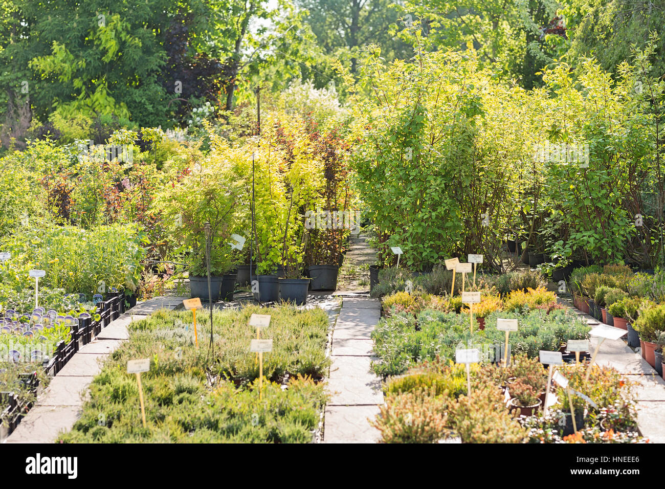 Nursery environment hi-res stock photography and images - Alamy