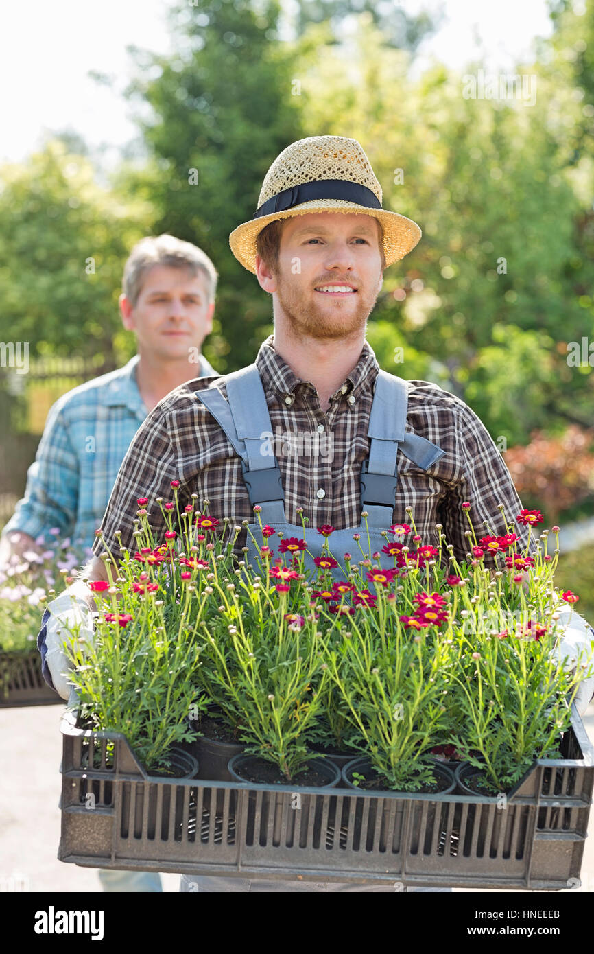 Male gardeners carrying flower pots in crates at plant nursery Stock ...