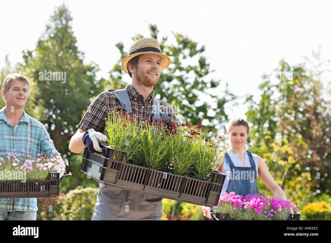 Gardeners carrying flower pots in crates at garden Stock Photo - Alamy