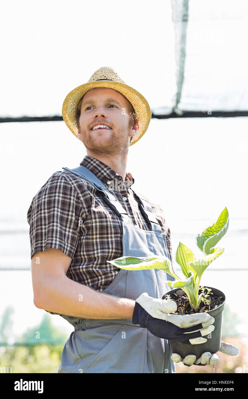 Young male gardener holding hi-res stock photography and images - Alamy
