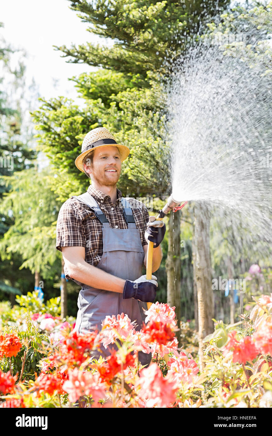 Male gardener watering plants at plant nursery Stock Photo - Alamy