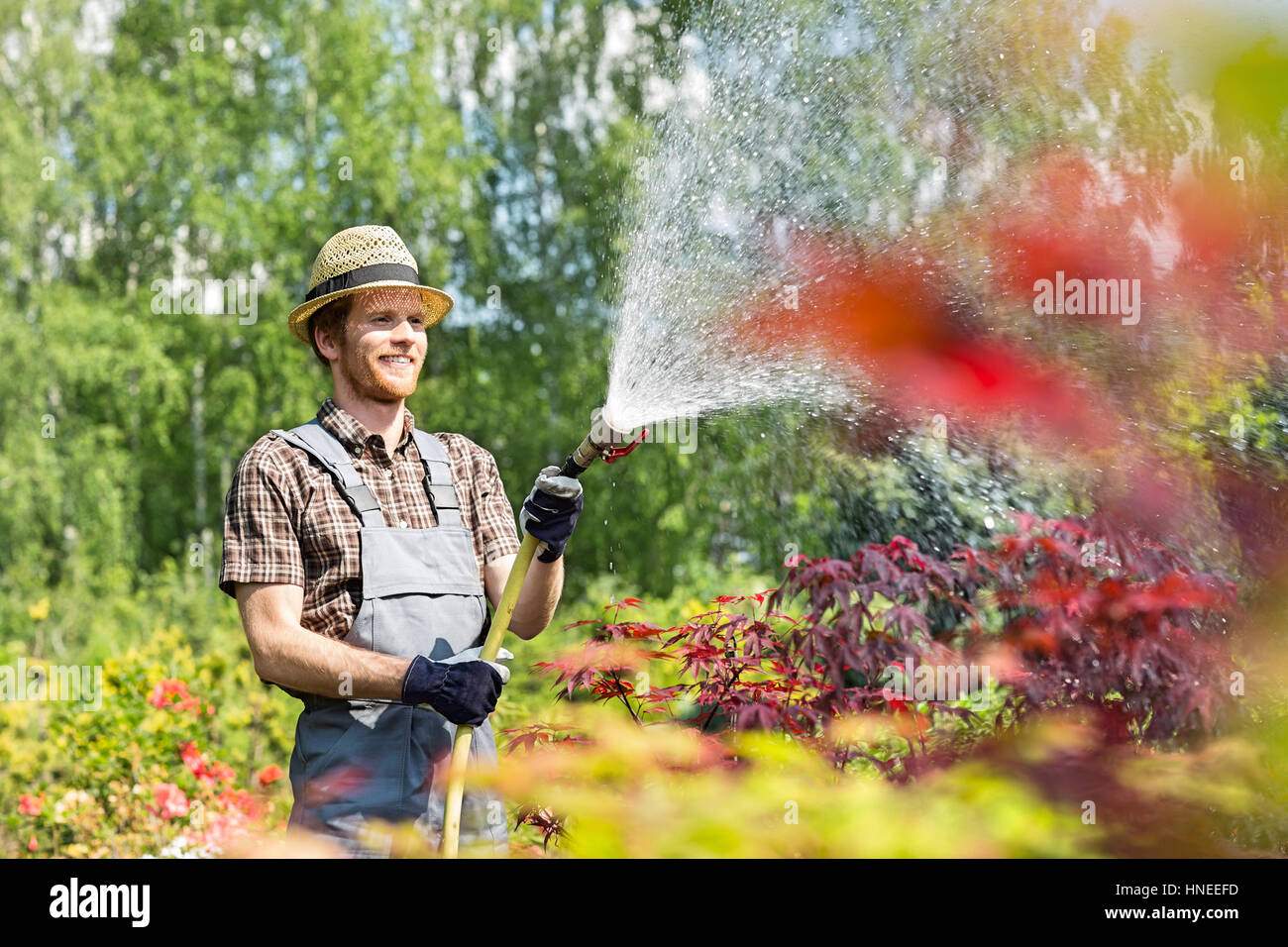 Watering tree plants hi-res stock photography and images - Alamy