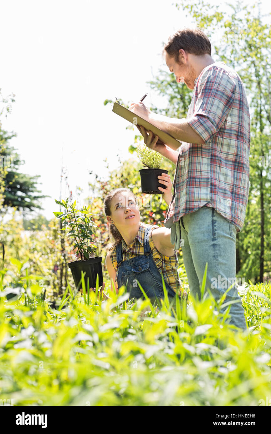 Female gardener showing potted plants to supervisor at garden Stock ... Female gardener showing potted plants to supervisor at garden Stock ...