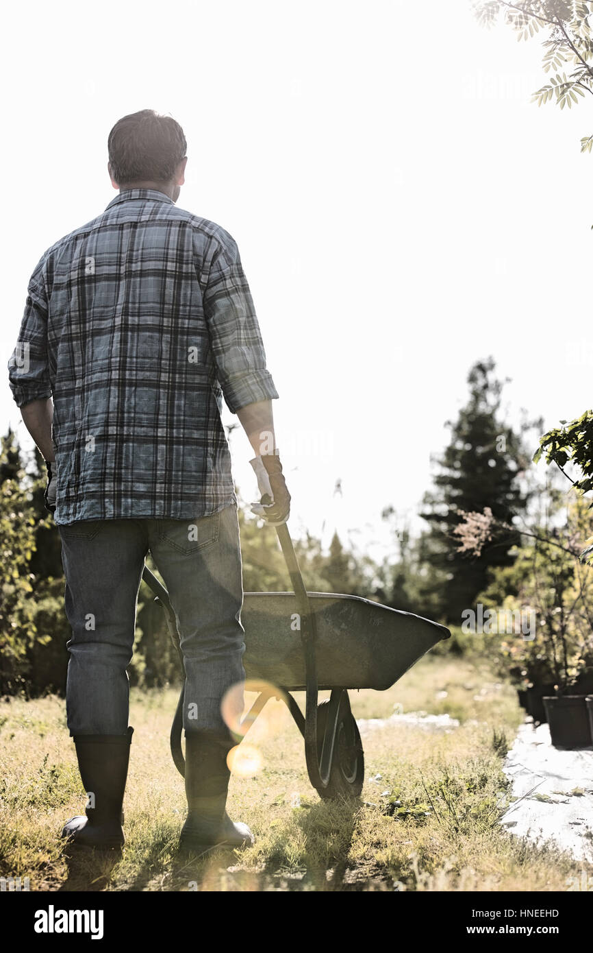 Rear view of man pushing wheelbarrow at garden Stock Photo - Alamy