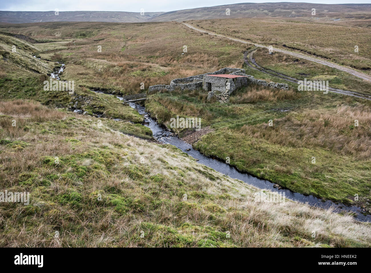 Washfold and hut by Little Coal Gill, Birkdale Common, Birkdale ...