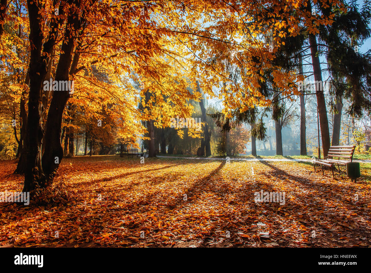 Warm peaceful day in the autumn park Stock Photo - Alamy