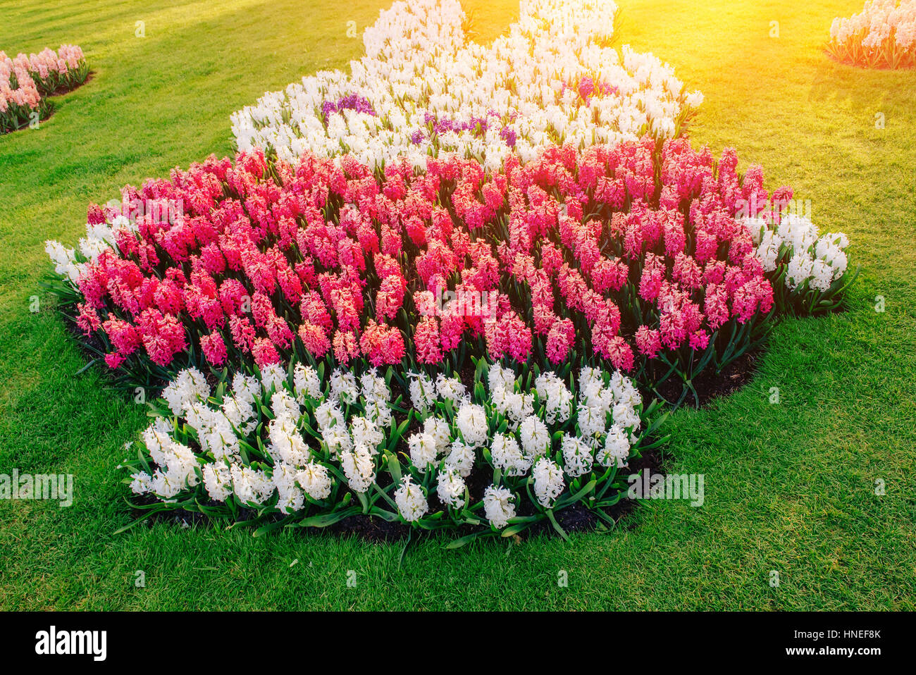 Flower-bed of spring flowers in the park Stock Photo - Alamy