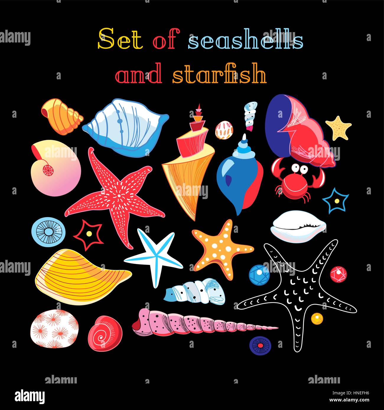 Vector set of sea shells and starfish on a dark background Stock Vector ...