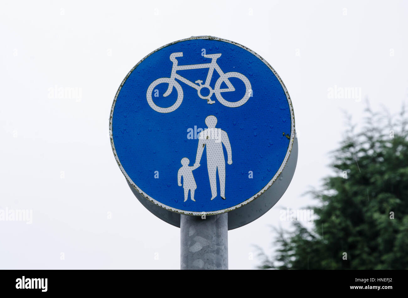 A sign indicating that a path is for use by both cyclists and ...