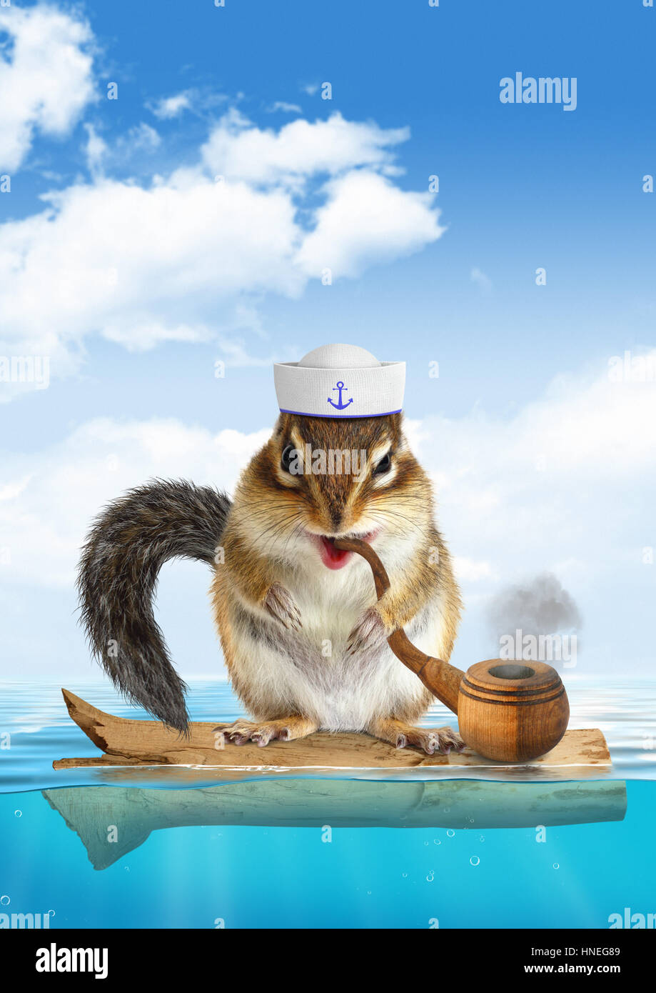Funny mariner concept, animal chipmunk floating Stock Photo - Alamy