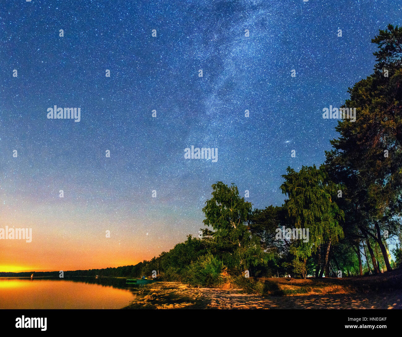 pine tree in the sand on the beach Stock Photo - Alamy
