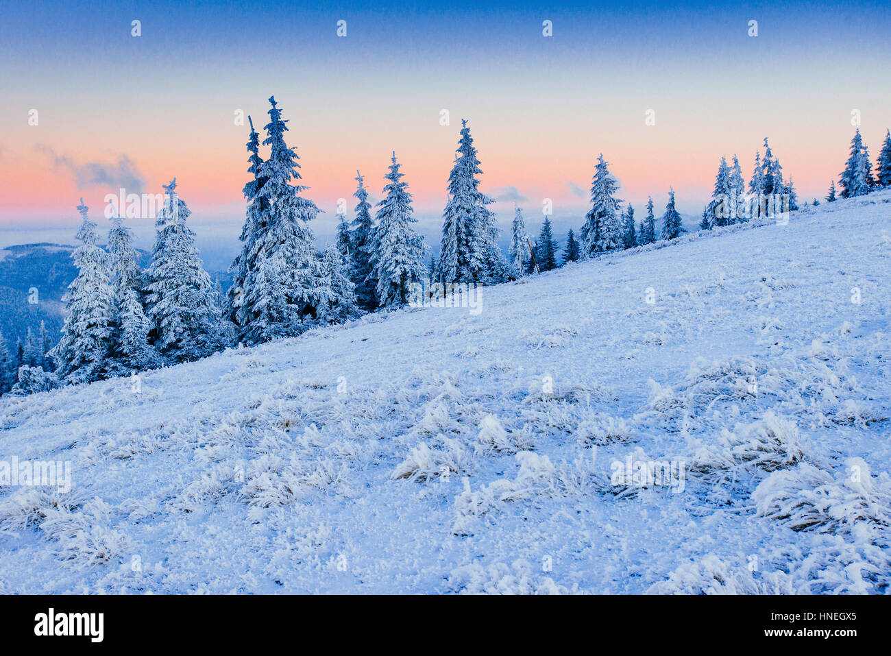 Winter landscape glowing by sunlight. Dramatic wintry scene Stock Photo ...