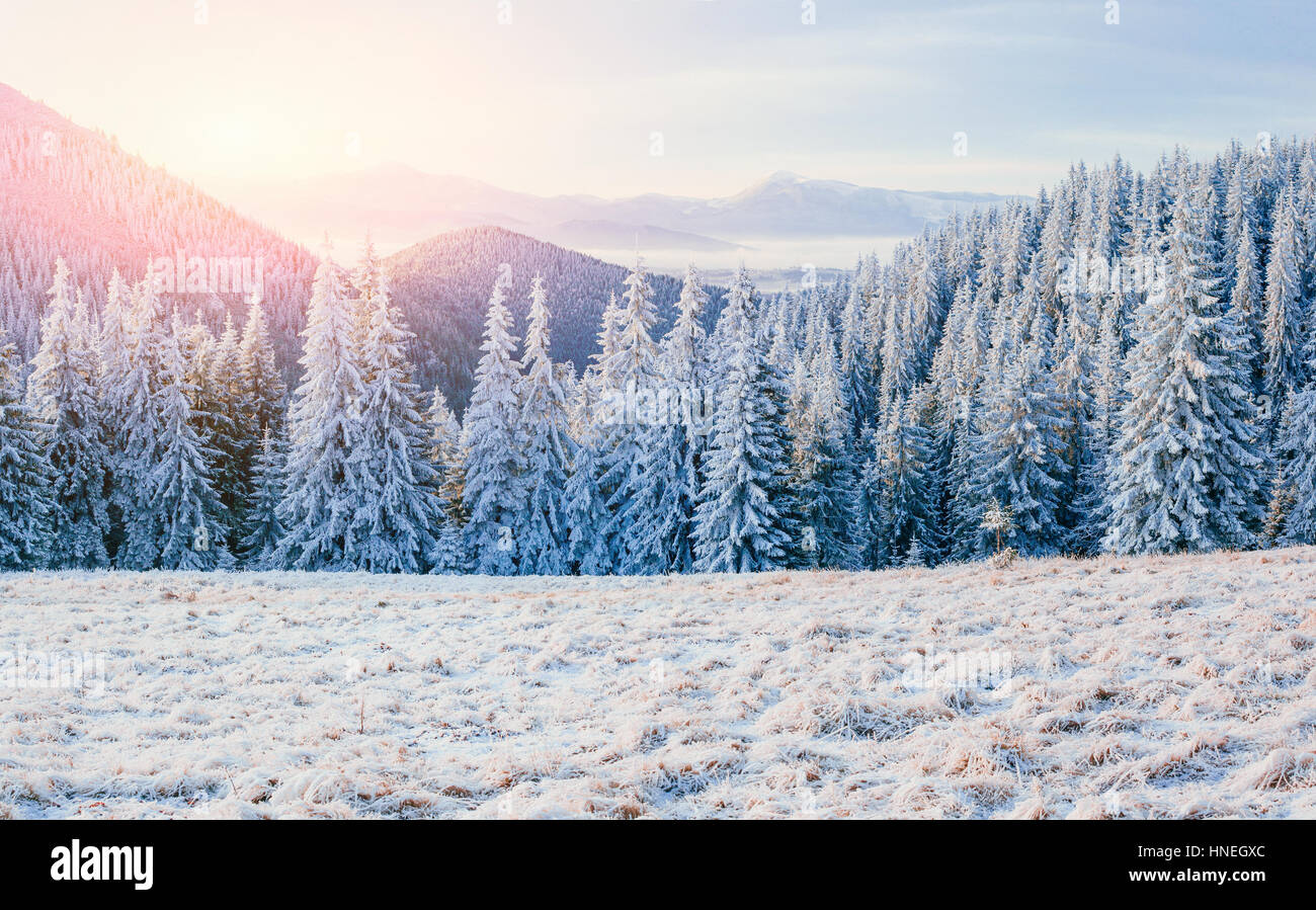 Winter landscape glowing by sunlight. Dramatic wintry scene. Car Stock Photo - Alamy