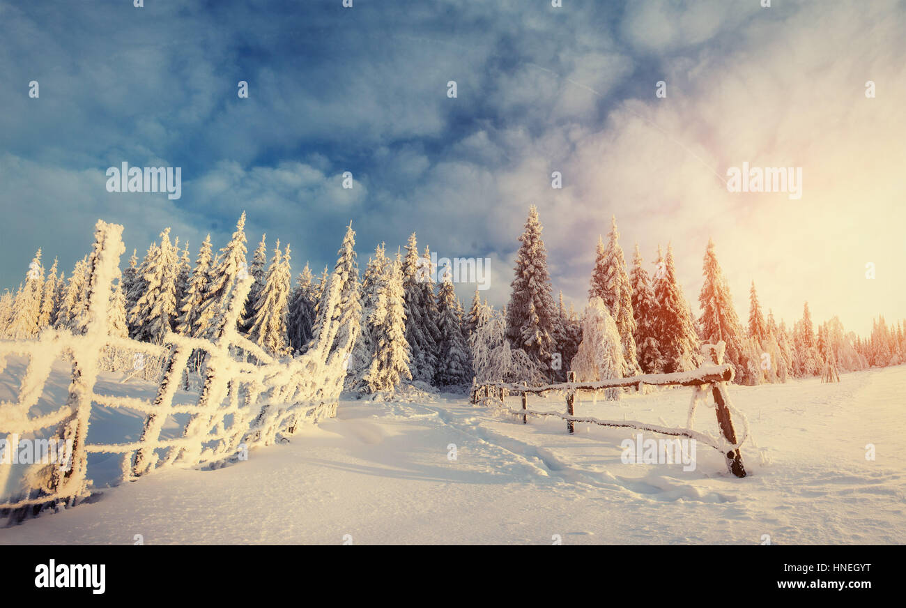 Mysterious scenics winter hi-res stock photography and images - Alamy