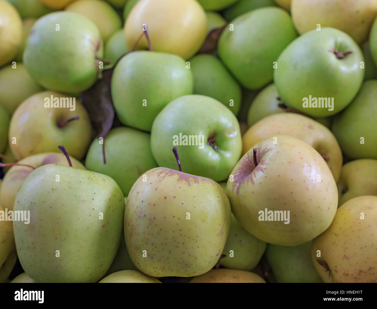 Group of natural green apples with yellow apples Stock Photo - Alamy