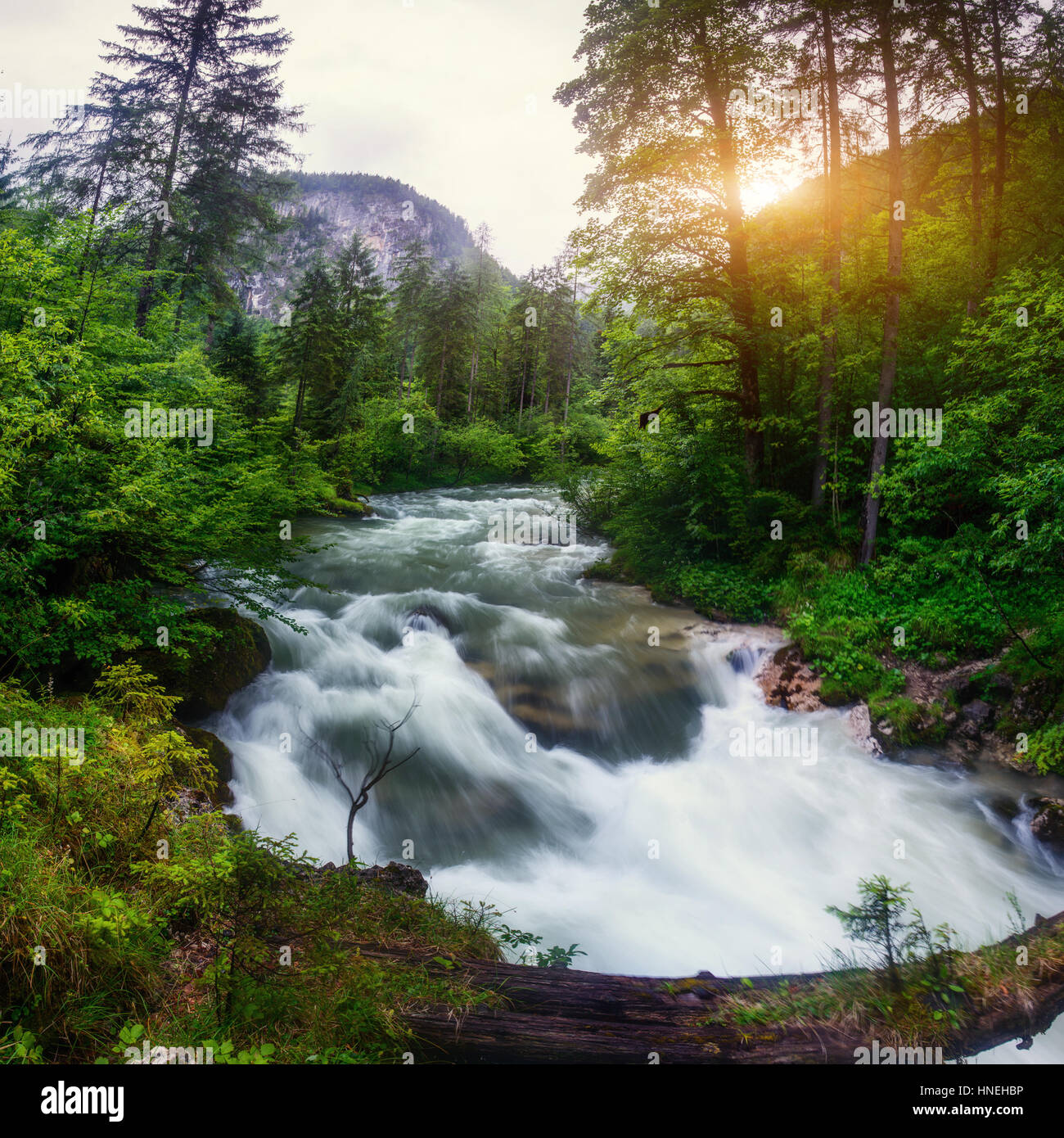 fast river in the mountains Stock Photo - Alamy