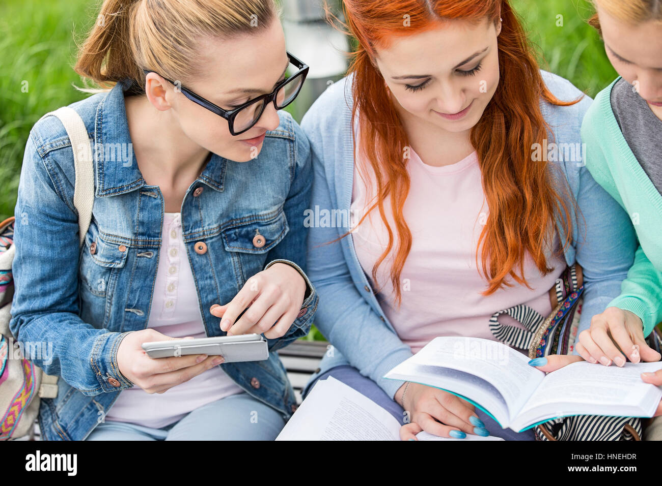 Young women studying together in park Stock Photo - Alamy
