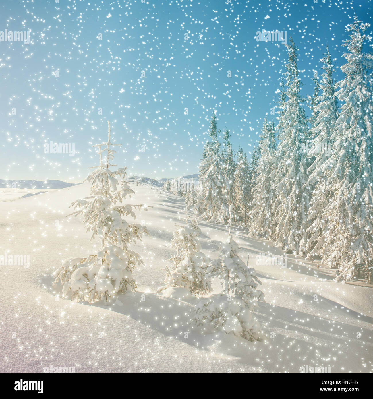 magical winter landscape, background with some soft highlights a Stock ...