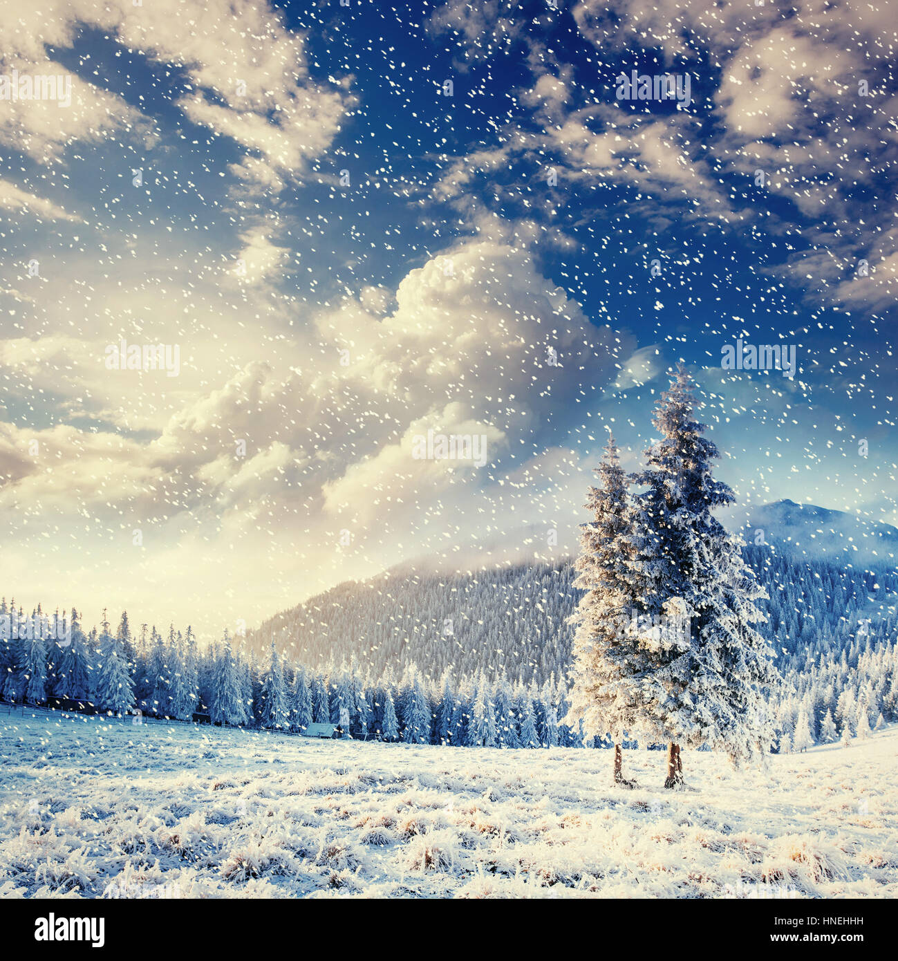 magical winter landscape, background with some soft highlights a Stock ...
