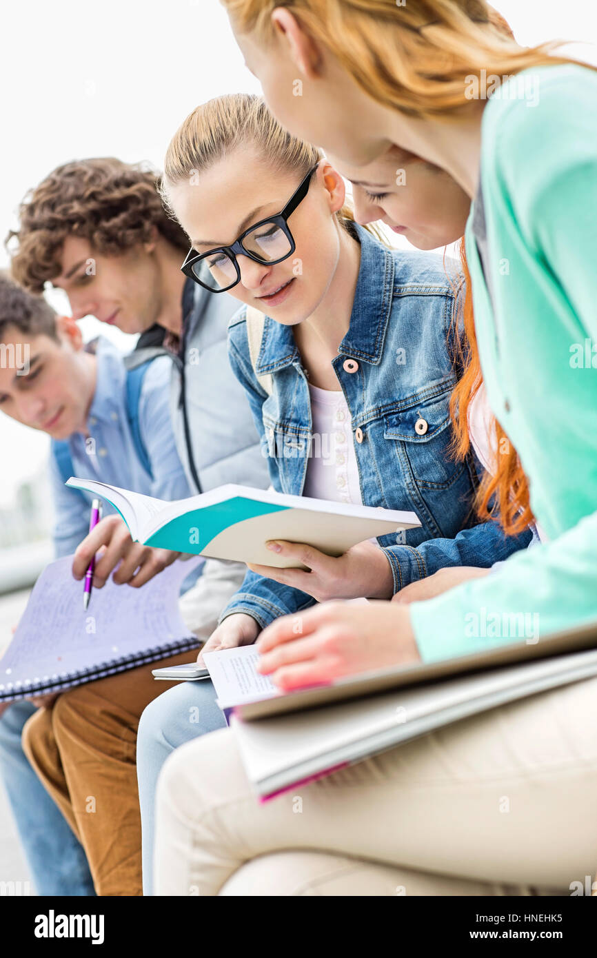 University female student with friends studying together in park Stock ...