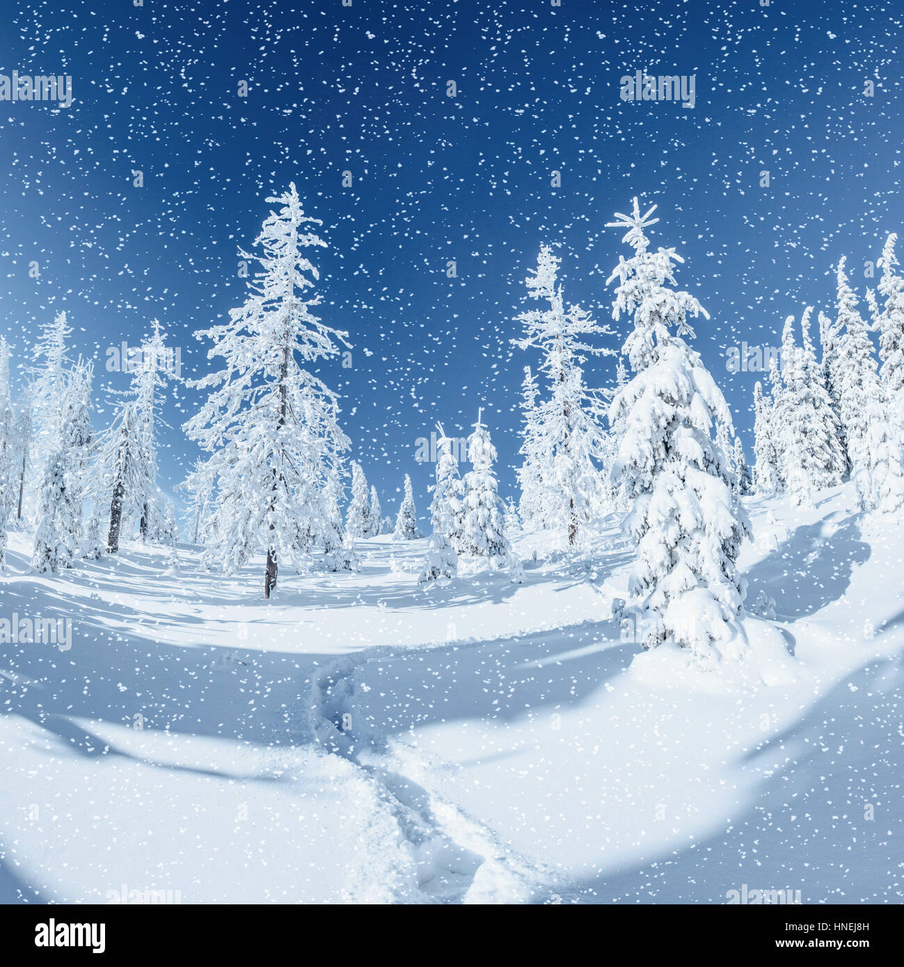 Trodden road hi-res stock photography and images - Alamy