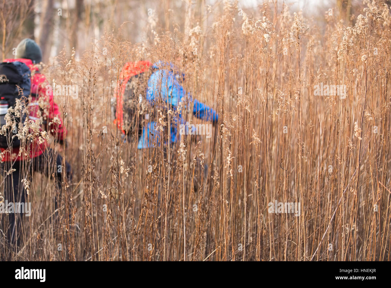 Man walking in field hi-res stock photography and images - Alamy
