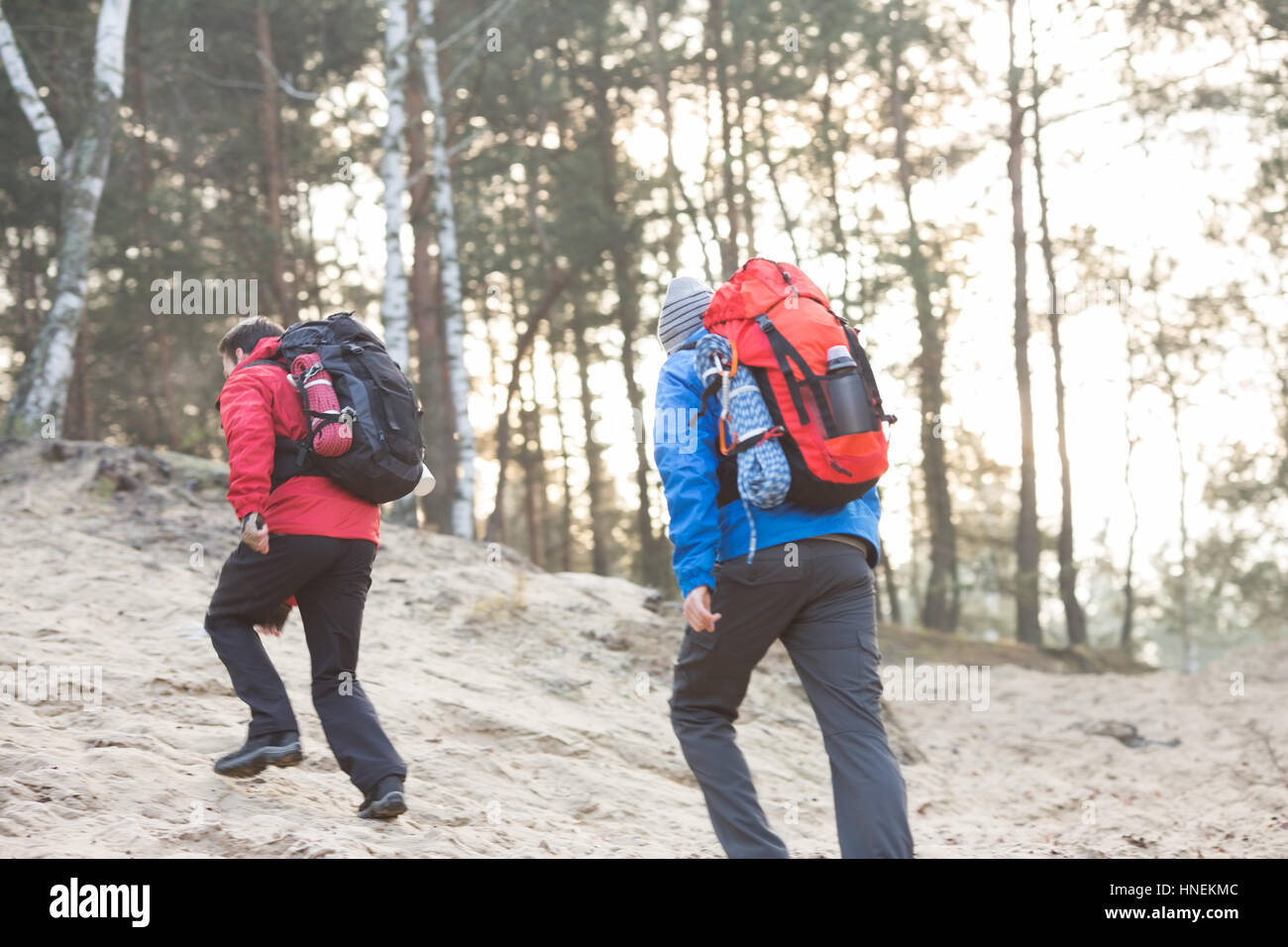 Two men walking on forest hi-res stock photography and images - Alamy