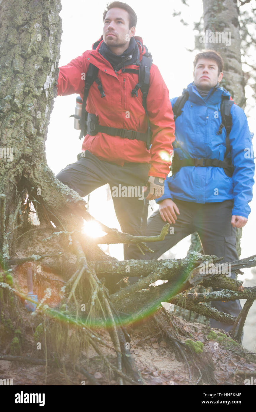 Young men in 20s hi-res stock photography and images - Alamy