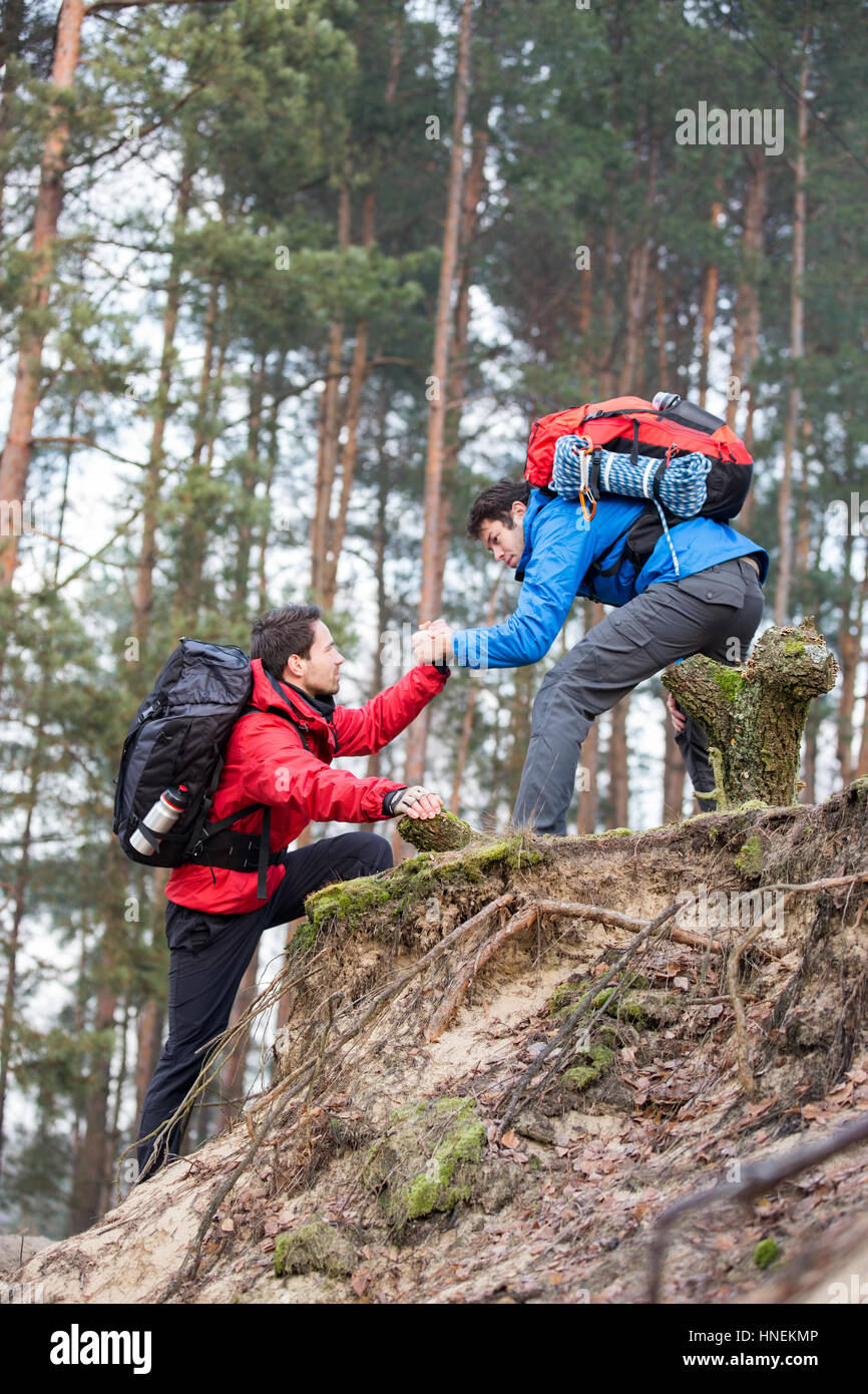 Young backpacker assisting friend while hiking in forest Stock Photo ...