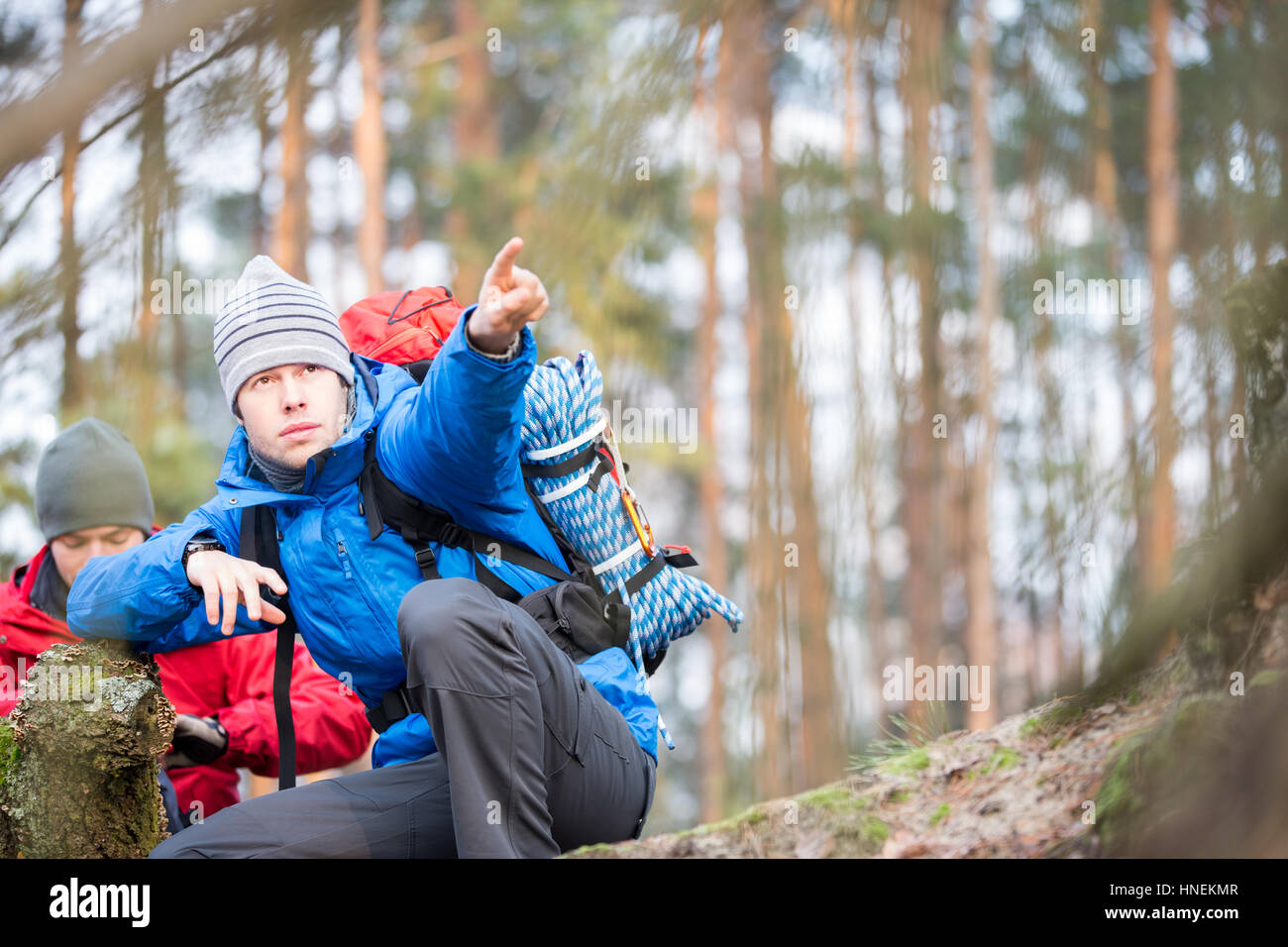 Male hiker pointing in forest Stock Photo - Alamy
