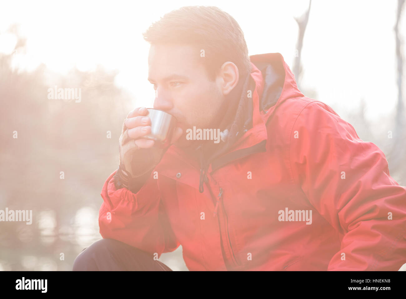Coffee forest hi-res stock photography and images - Alamy