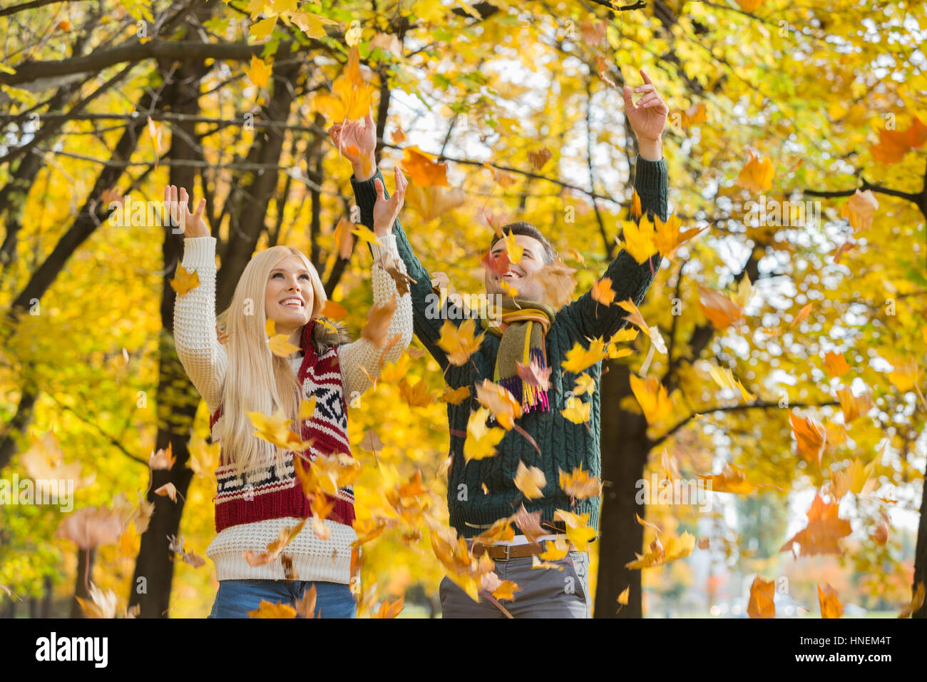 Falling color leaves hi-res stock photography and images - Alamy