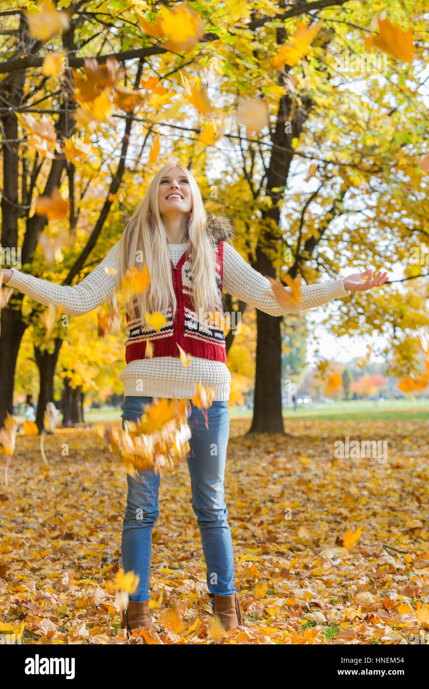 Falling leaves motion hi-res stock photography and images - Alamy