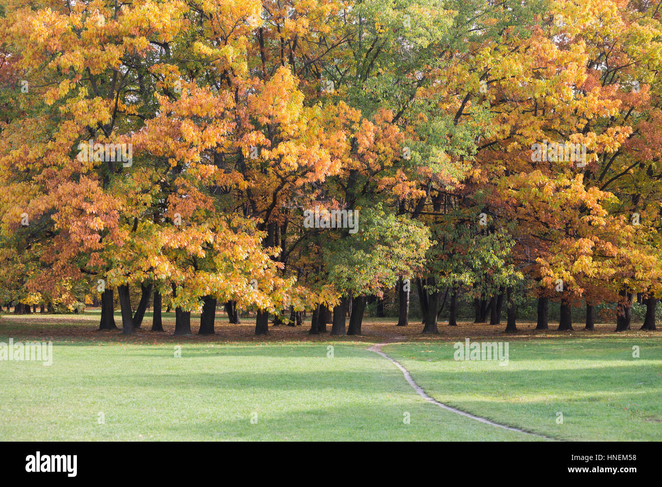 Daytime in autumn hi-res stock photography and images - Alamy