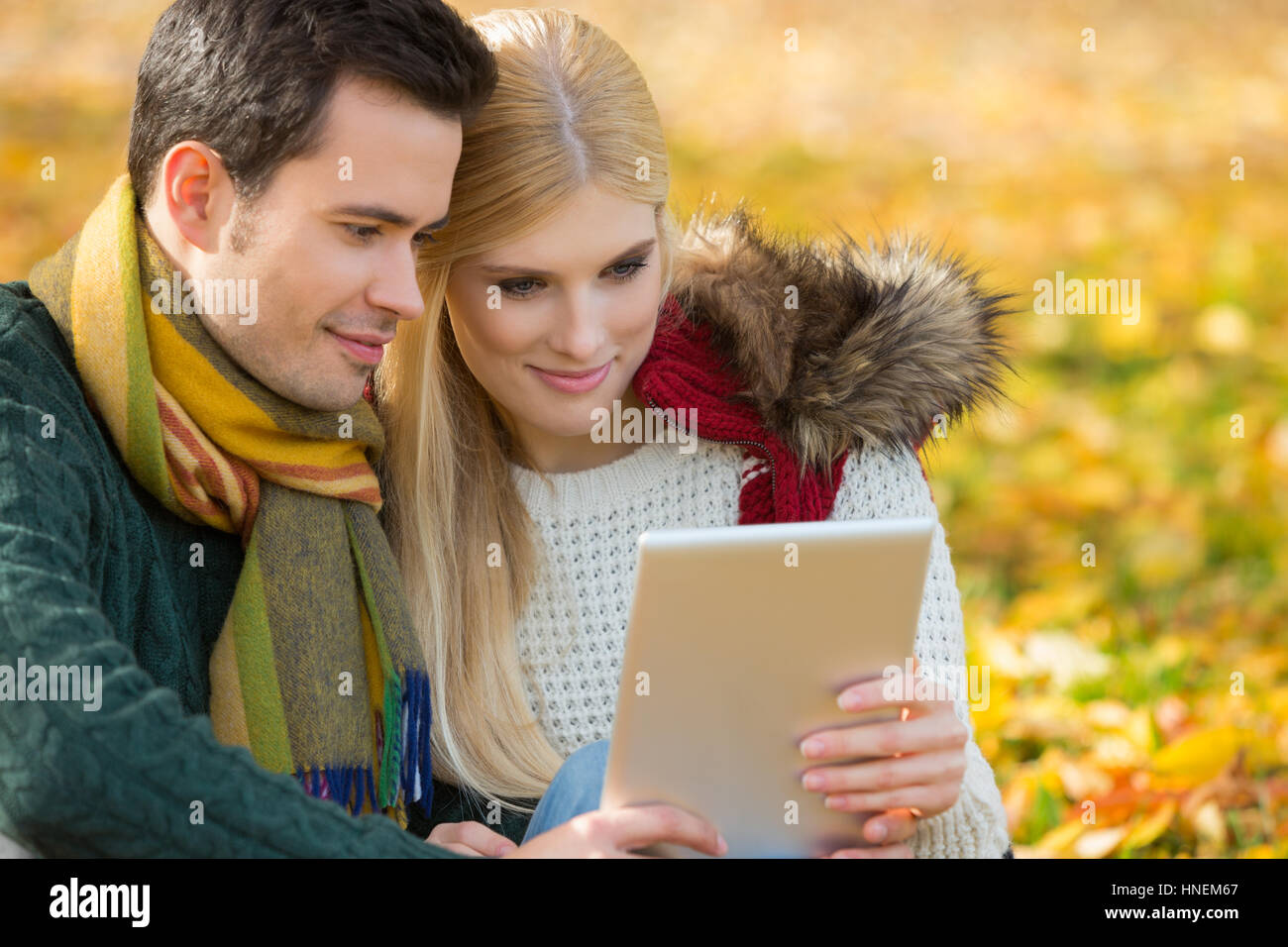 Couple using digital tablet in park during autumn Stock Photo - Alamy