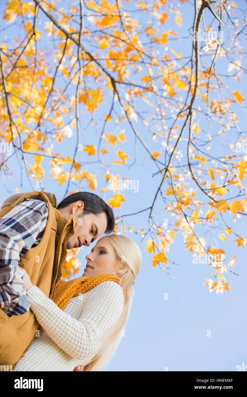 Couple hugging tree hi-res stock photography and images - Alamy