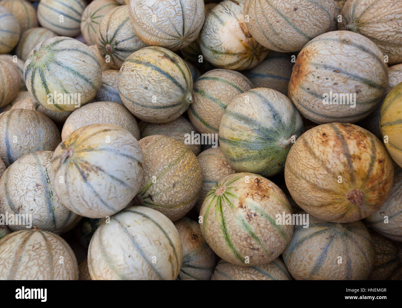 Close-up view of melons in market Stock Photo - Alamy