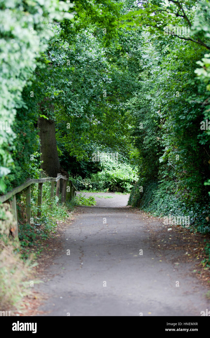 Country Lane in British Countryside Stock Photo - Alamy