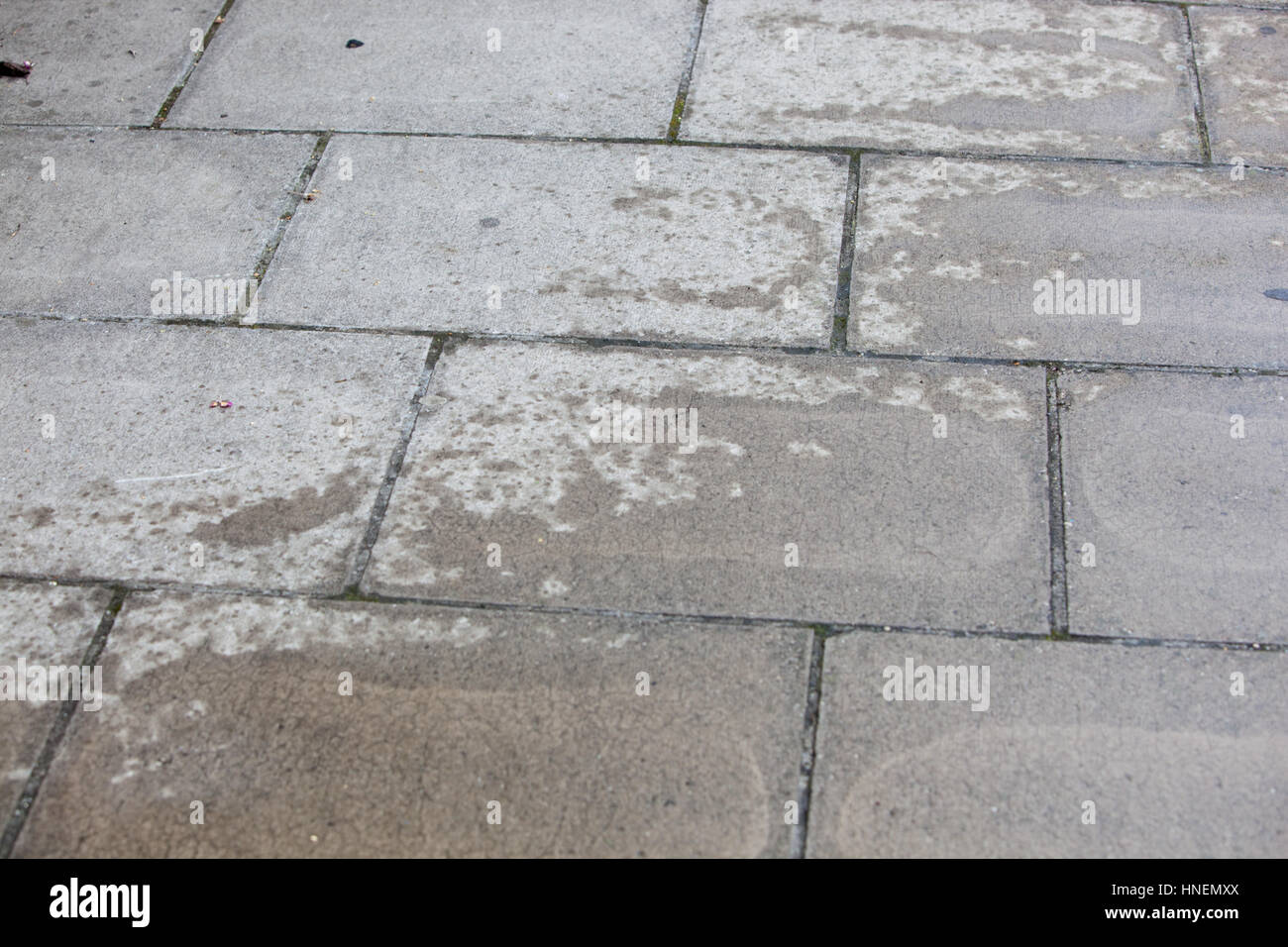 Concrete walkway with water patch cement hi-res stock photography and ...