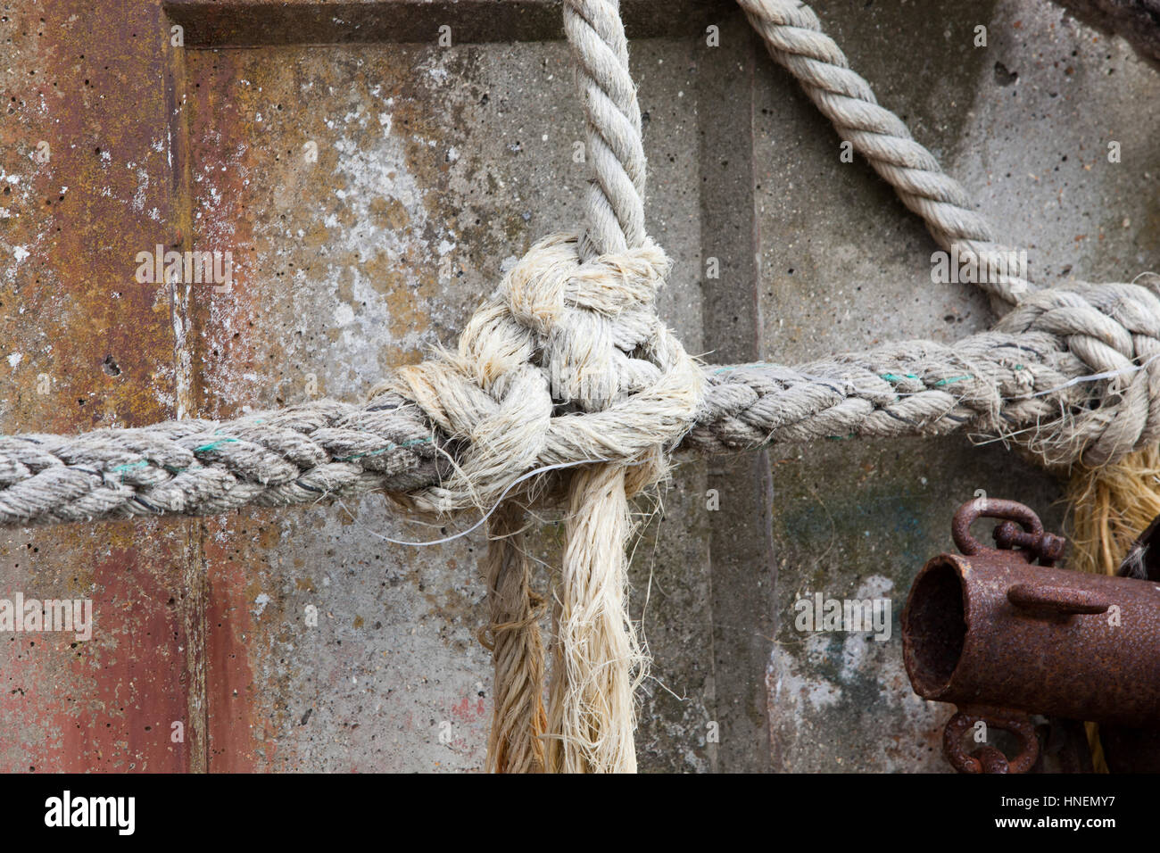 Treet knot hi-res stock photography and images - Alamy