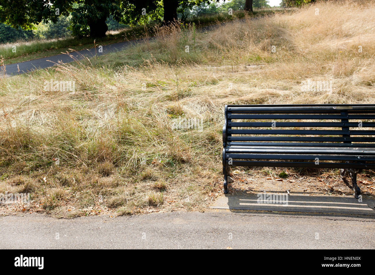 Empty park bench at park Stock Photo - Alamy