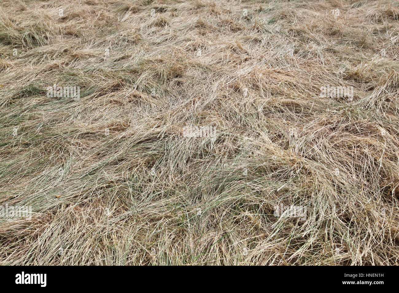 Straw frame hi-res stock photography and images - Alamy