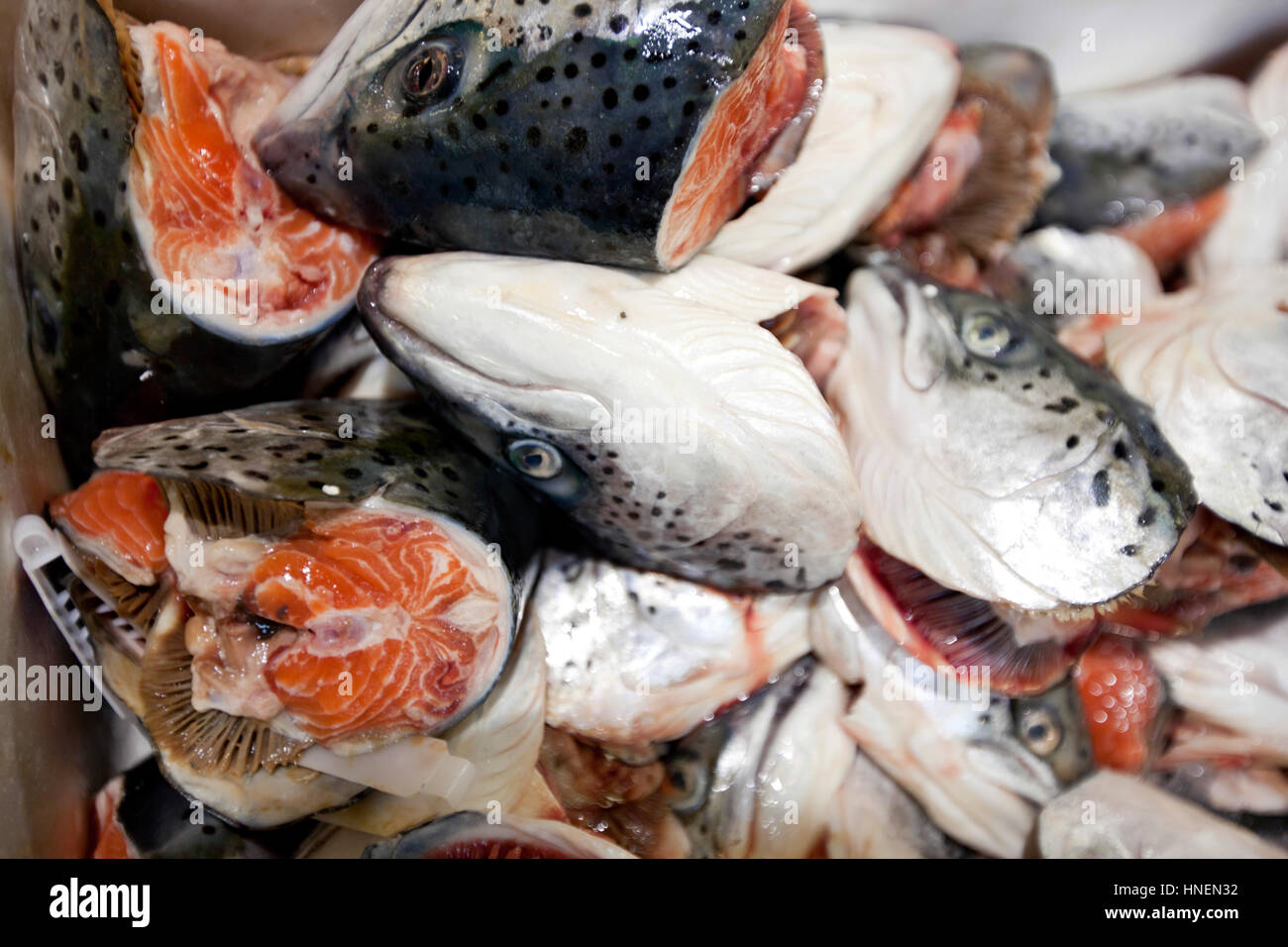 Close-up of chopped fishes in market Stock Photo - Alamy