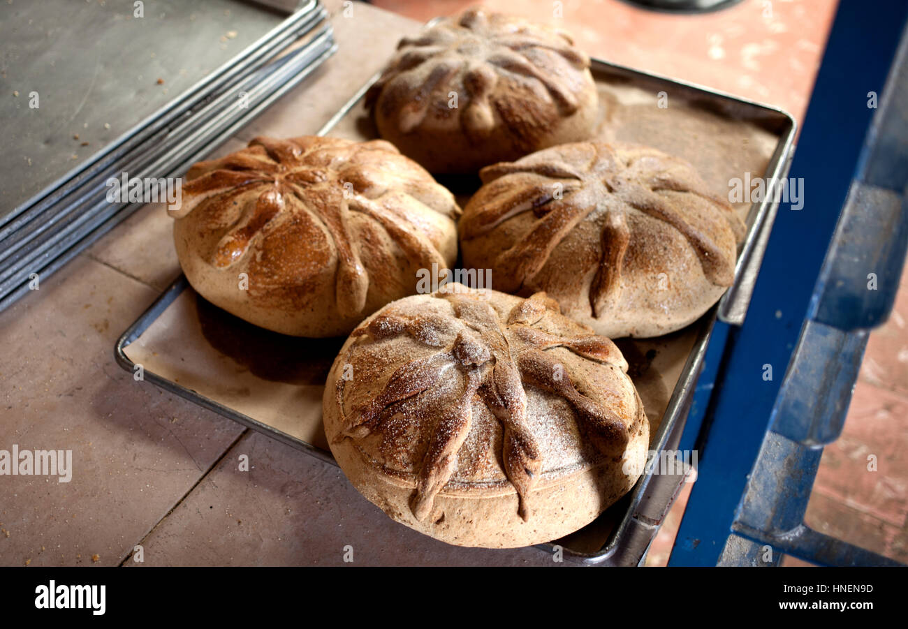 Pan de Muerto in a bakery shop in Pomuch, Hecelchackan municipality ...