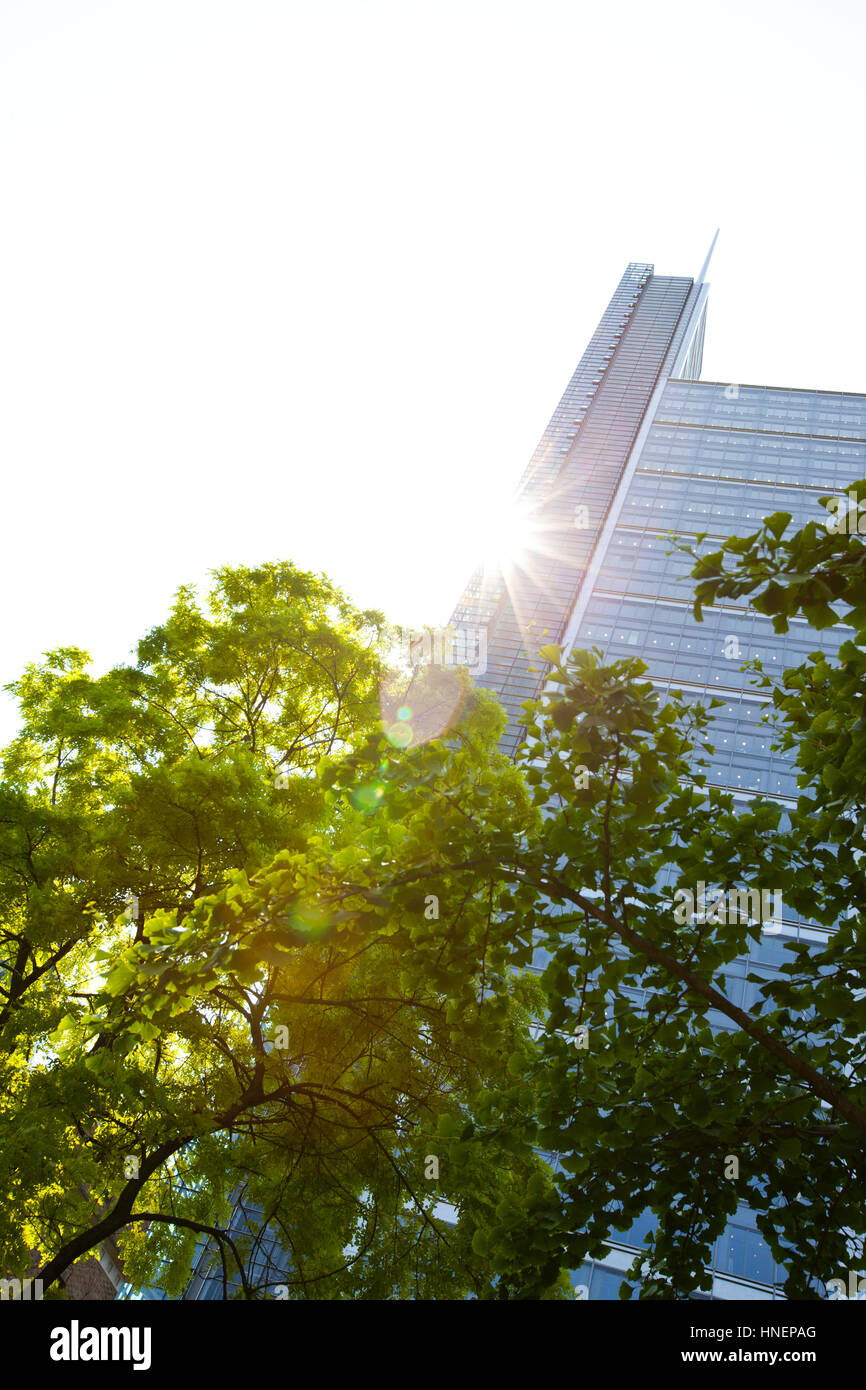 Architecture skyscraper trees hi-res stock photography and images - Alamy
