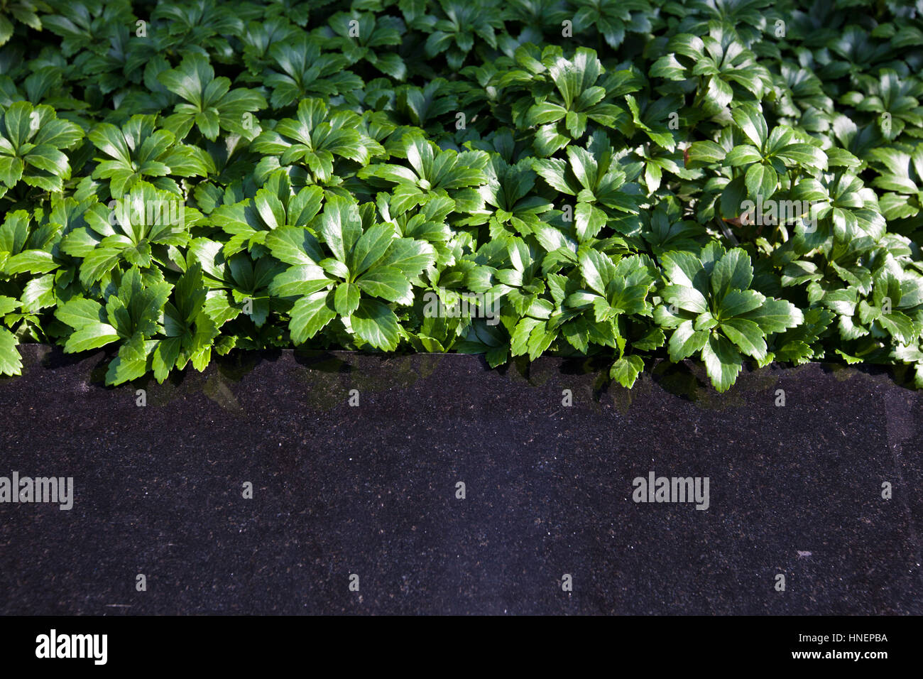 Farm with nature and plants hi-res stock photography and images - Alamy