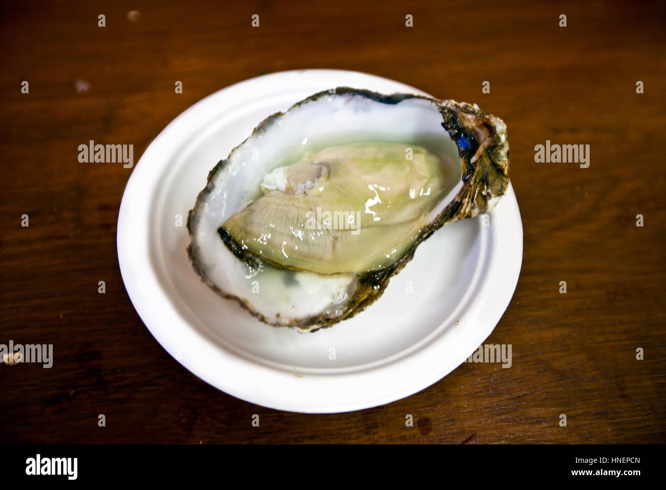 Oystershell hi-res stock photography and images - Alamy