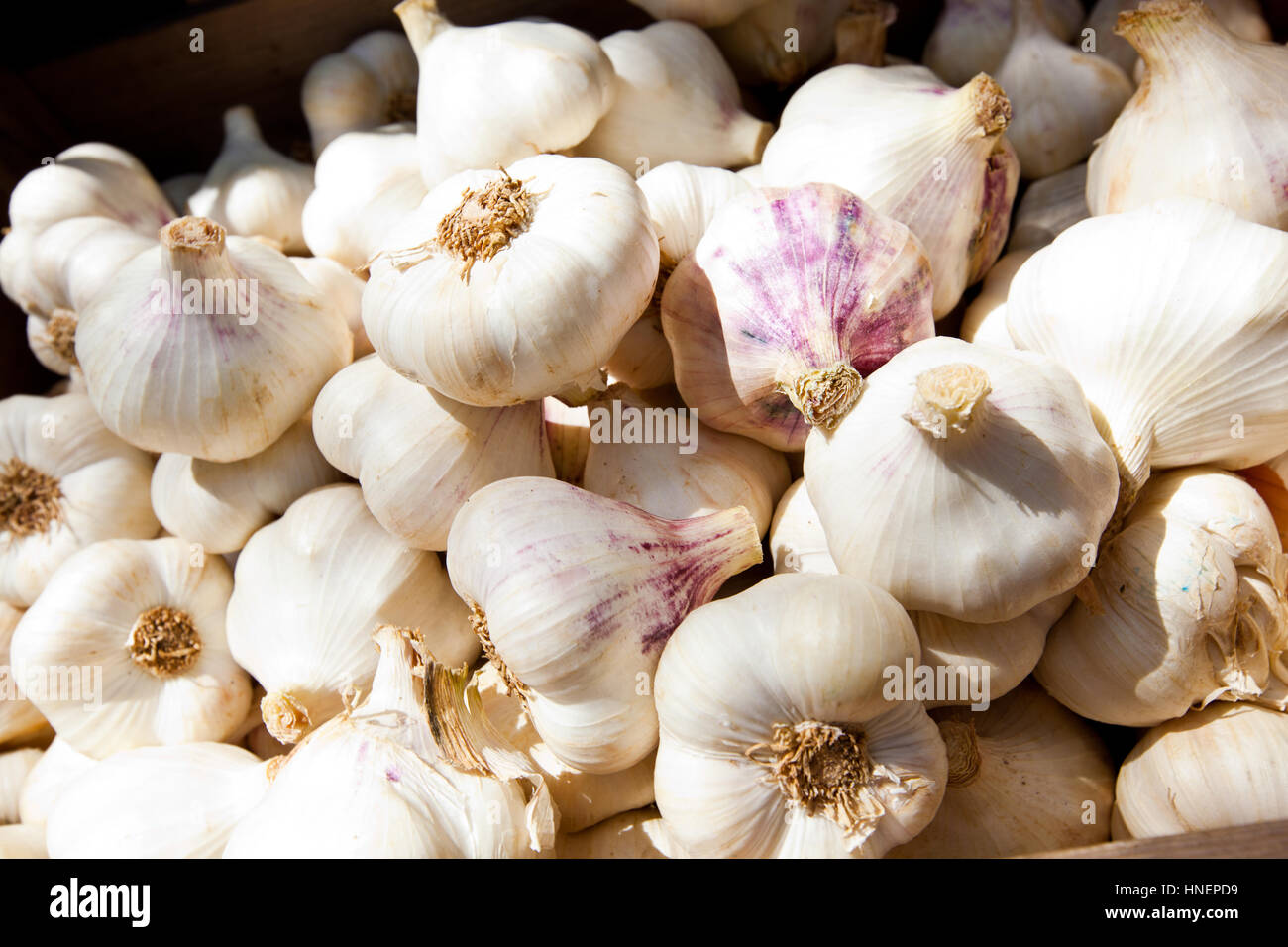 White garlic hi-res stock photography and images - Alamy