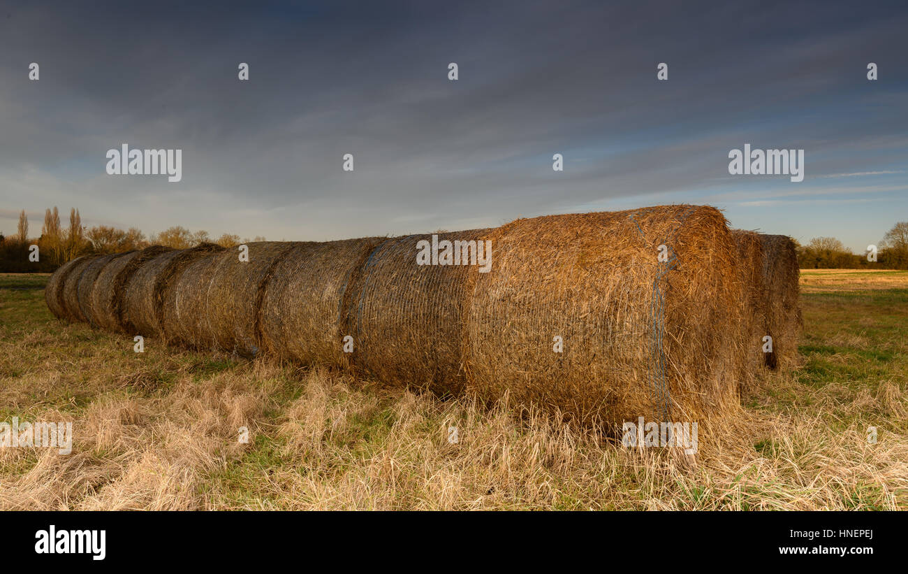 Food bails hi-res stock photography and images - Alamy