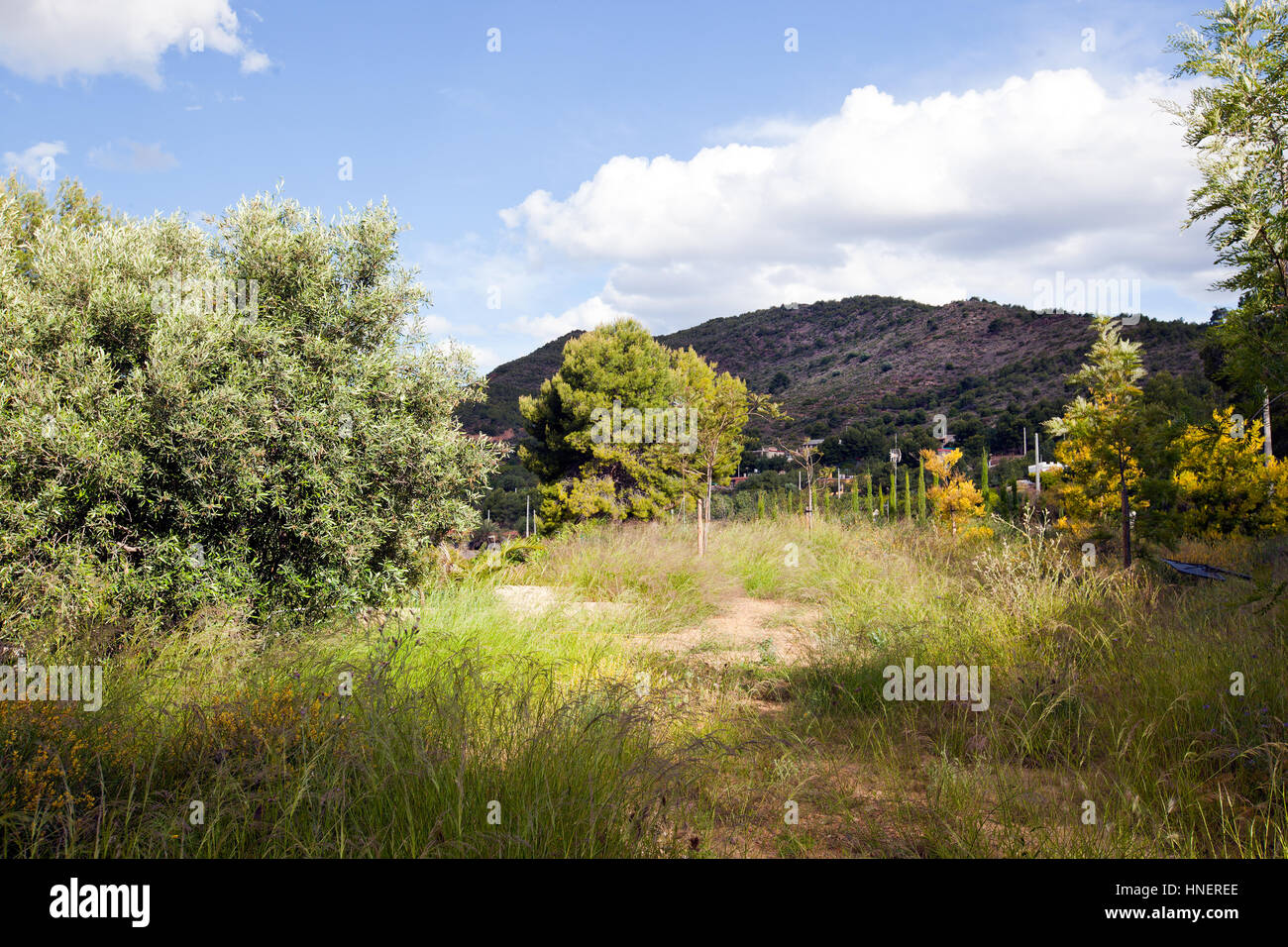 View of countryside and hills near Pu√ßol Valencia Stock Photo - Alamy